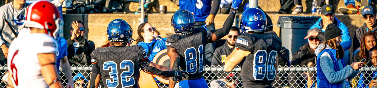 Le doux sentiment de victoire - Football