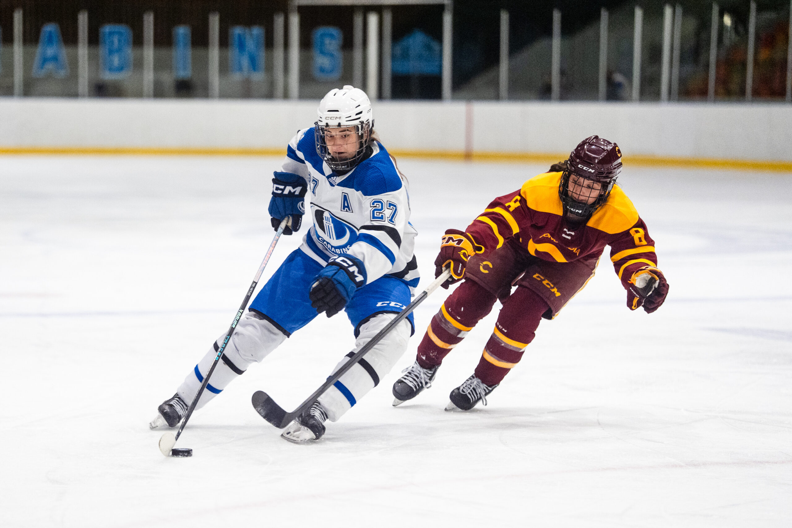 Carabins Université de Montréal vs Concordia Stingers - Hockey féminin