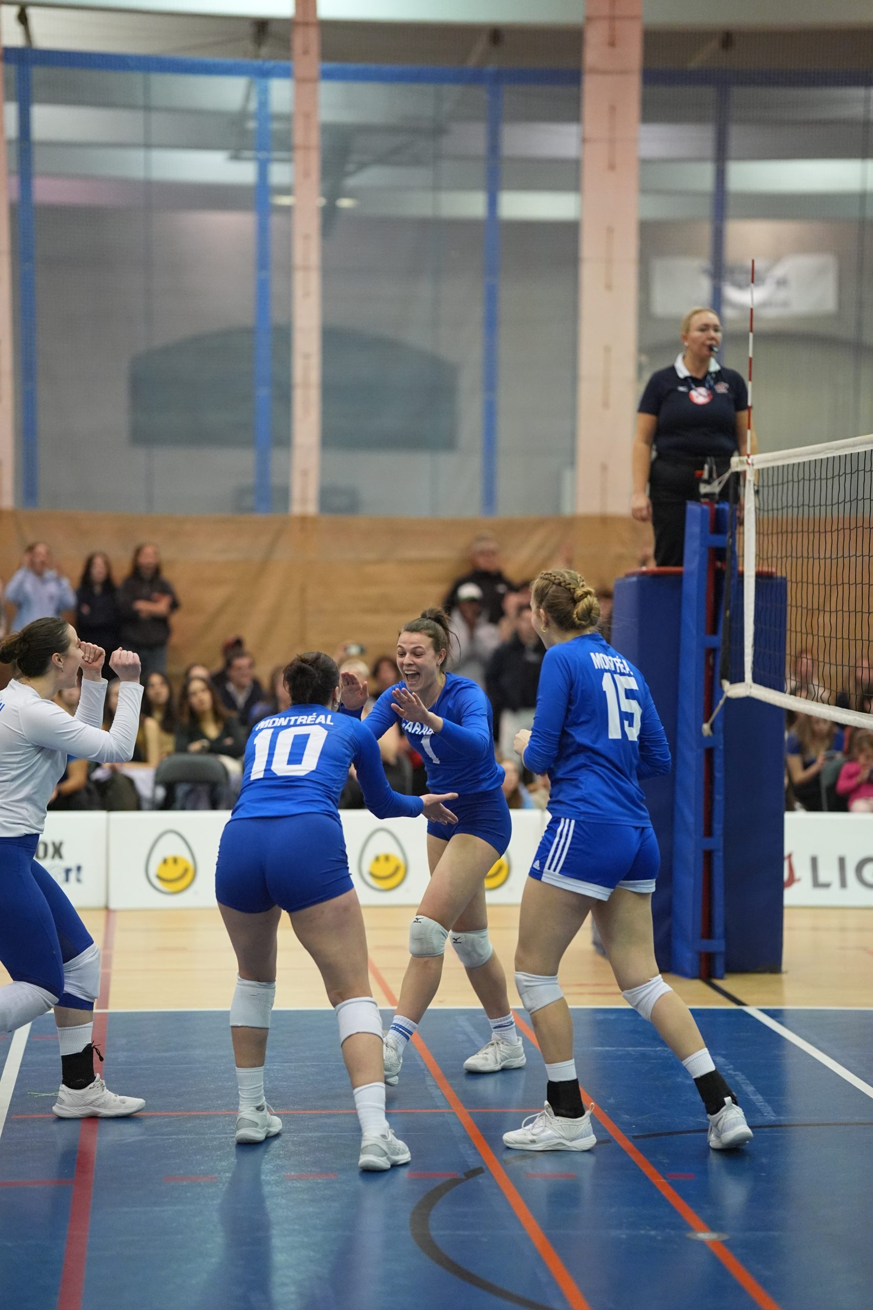 AD500568 - Volleyball féminin