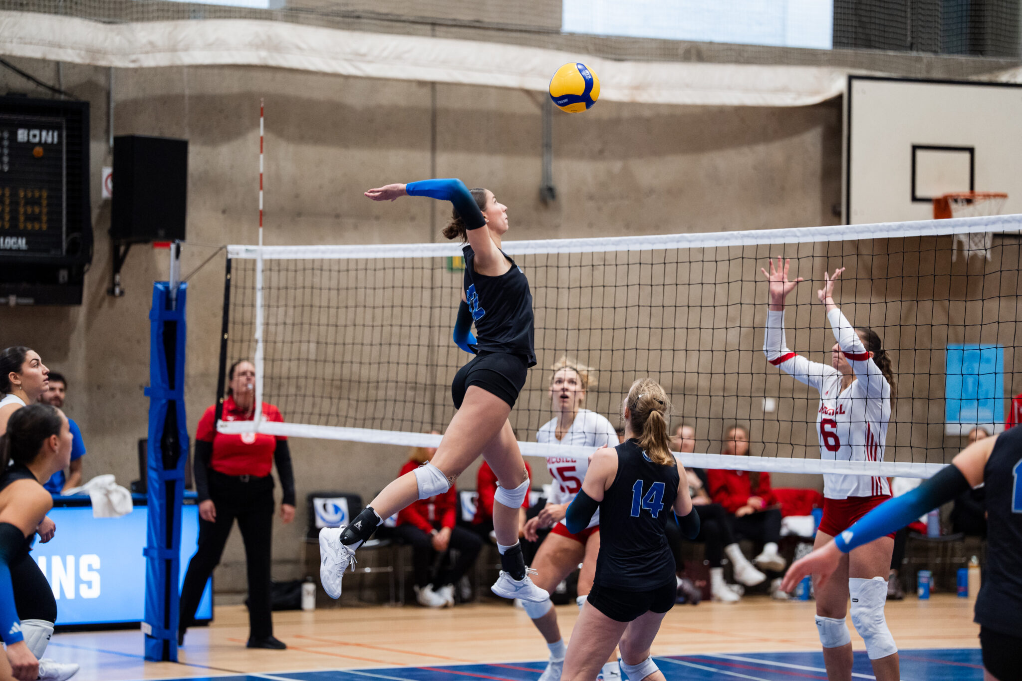 Carabins Université de Montréal vs Concordia Stingers - Volleyball féminin