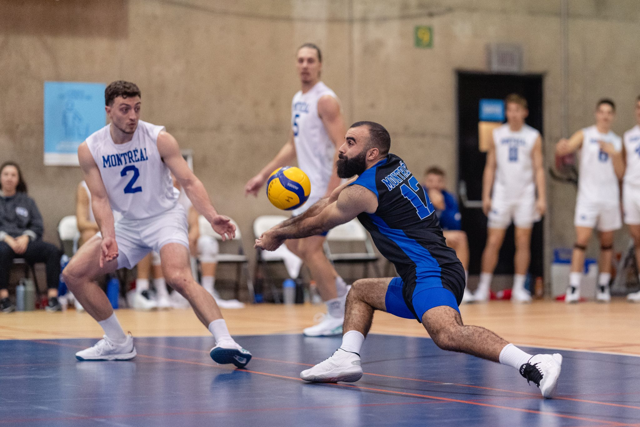 Kassis nommé athlète par excellence - Volleyball masculin